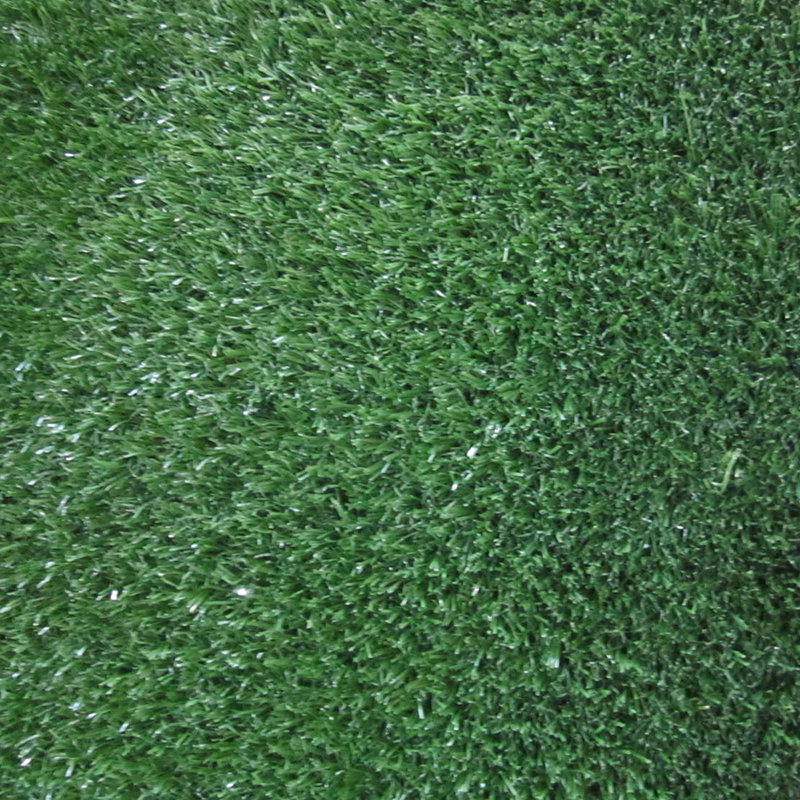 20 mm. – Pasto Natura